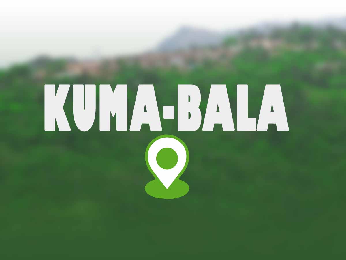 Togo : Komla Dodzi Kokoroko crée une nouvelle école à Kuma-Bala - Togo ...
